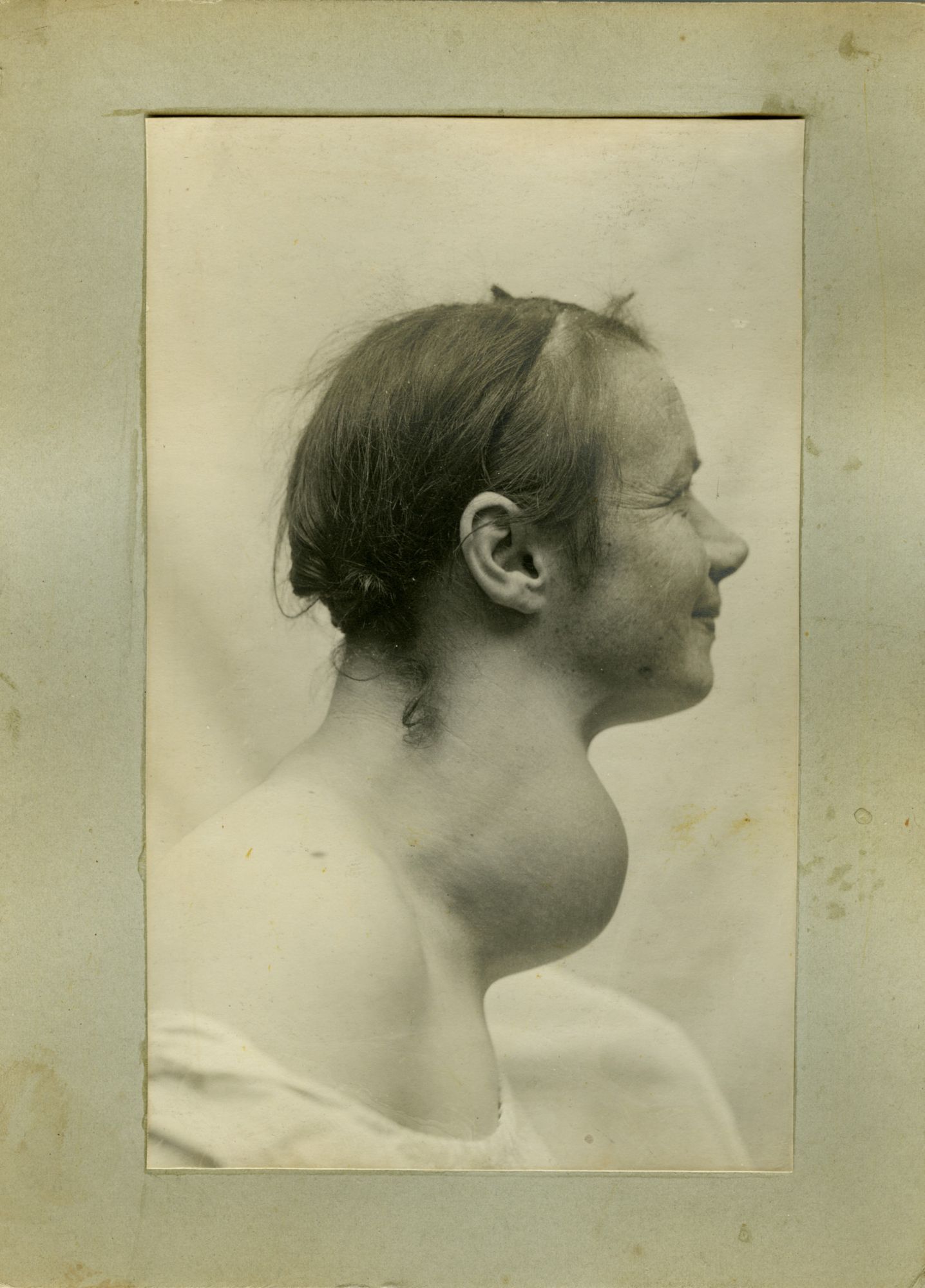 Reportagen | Der Bund