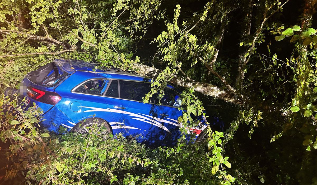 Unfall bei Möhlin: Auto landet nach Überholmanöver im Wald | Basler Zeitung