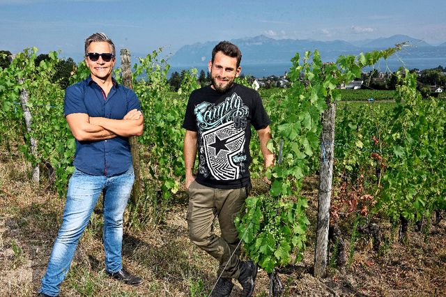 Marc Vicari et Corentin Houillon, des champions de la modernité ...