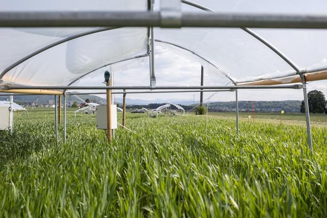 Confédération – Un demi-milliard pour les bâtiments fédéraux | 24 heures
