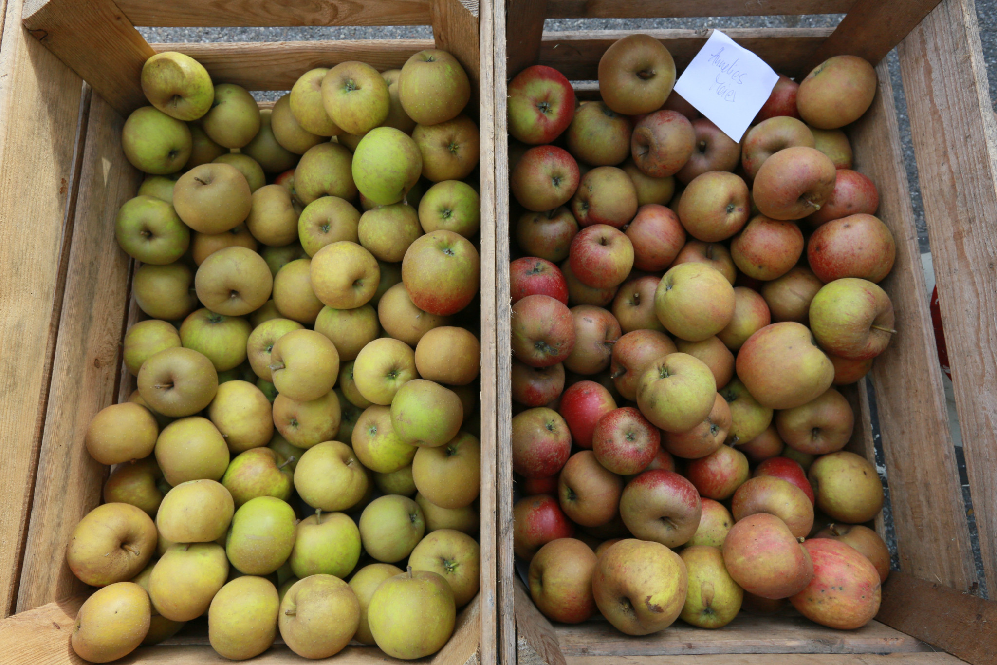 100 Sorten zum Probieren: Der Apfelmarkt in Elgg wächst und wächst