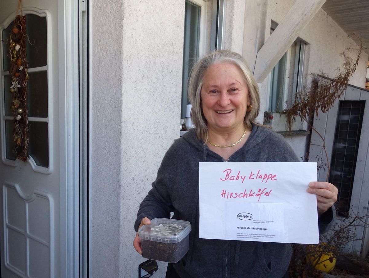 Babyklappe für Hirschkäfer: Interlakner Entwicklungshilfe in Bern | Der ...