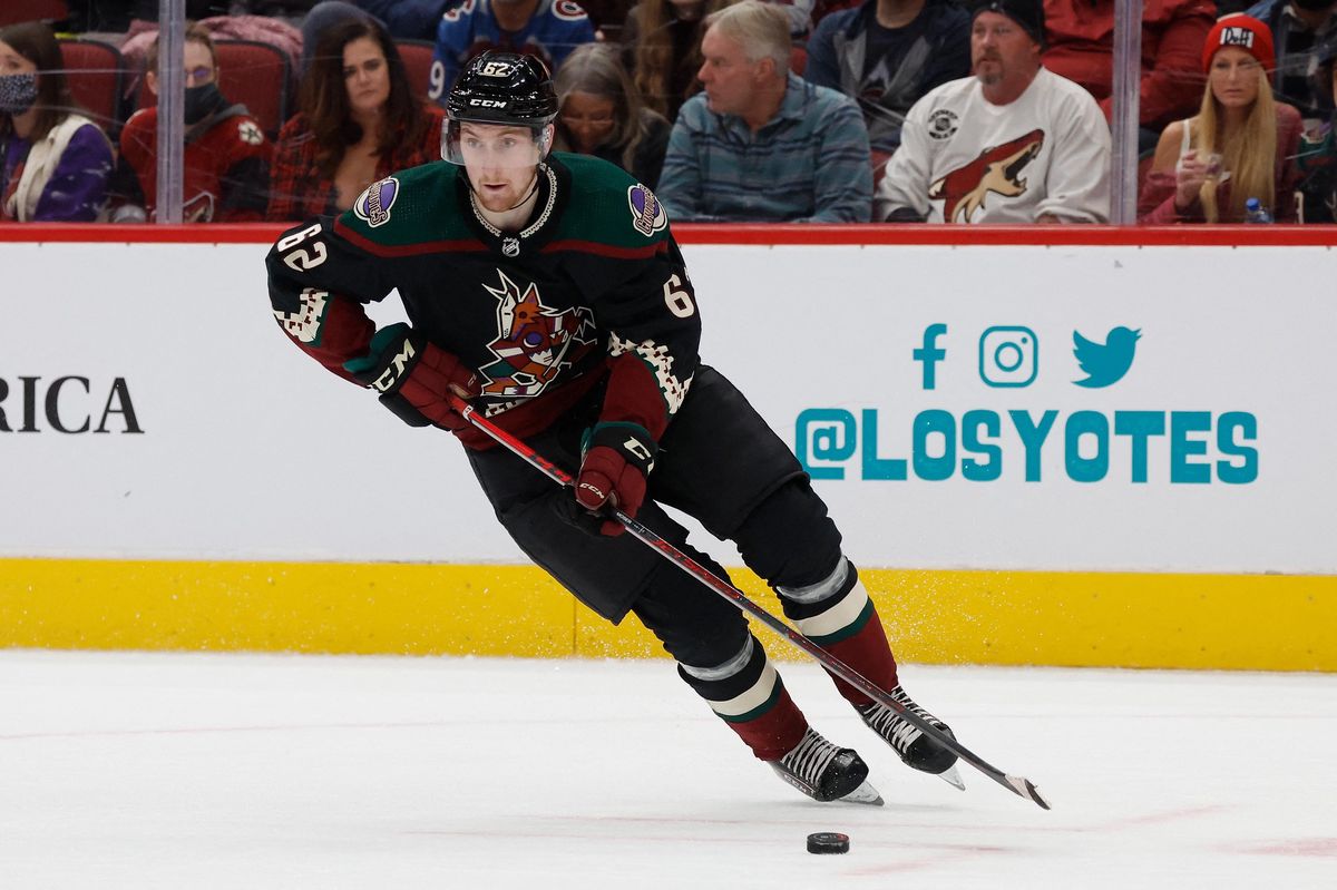 Hockey sur glace – Un point mais une défaite pour Janis Moser en NHL ...