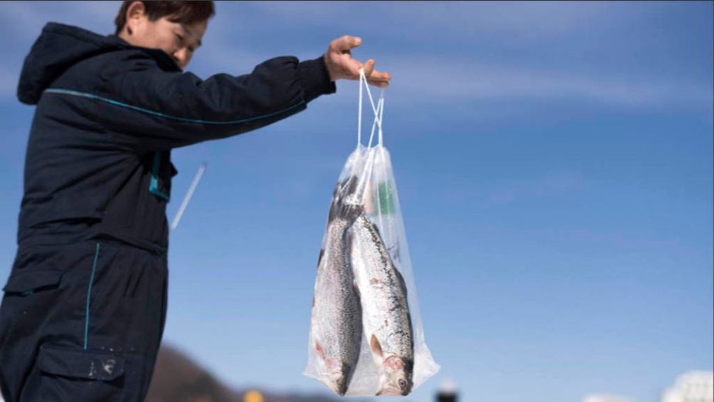 Im Forellenpuff | Der Bund