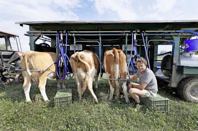Dani Maag melkt seine Kühe direkt auf der Weide | Zürcher Unterländer