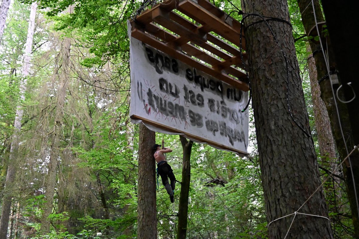 Ballens: les activistes du climat ont quitté la forêt | 24 heures