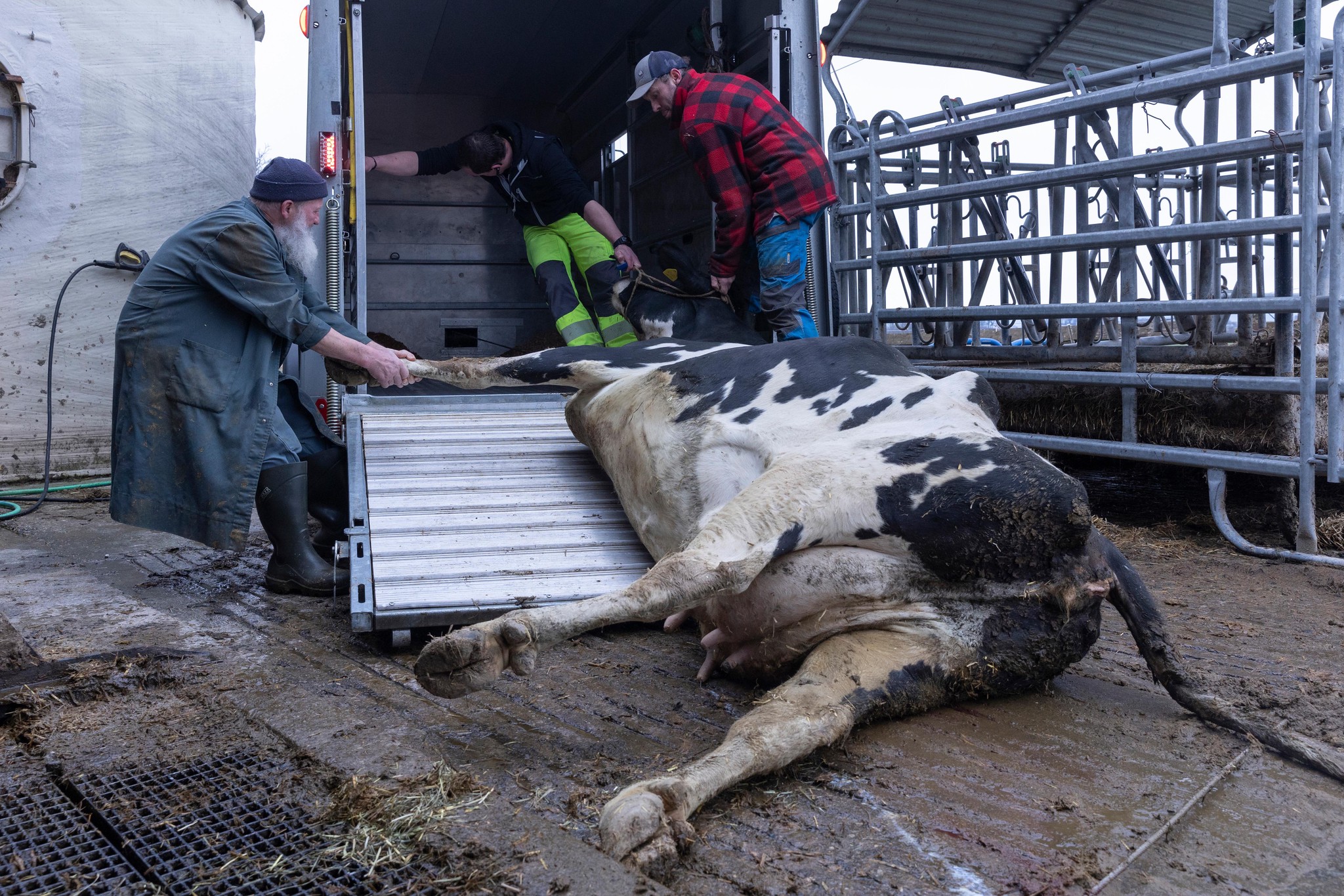 Monde agricole: Un jour à bord de l’ambulance pour animaux | 24 heures