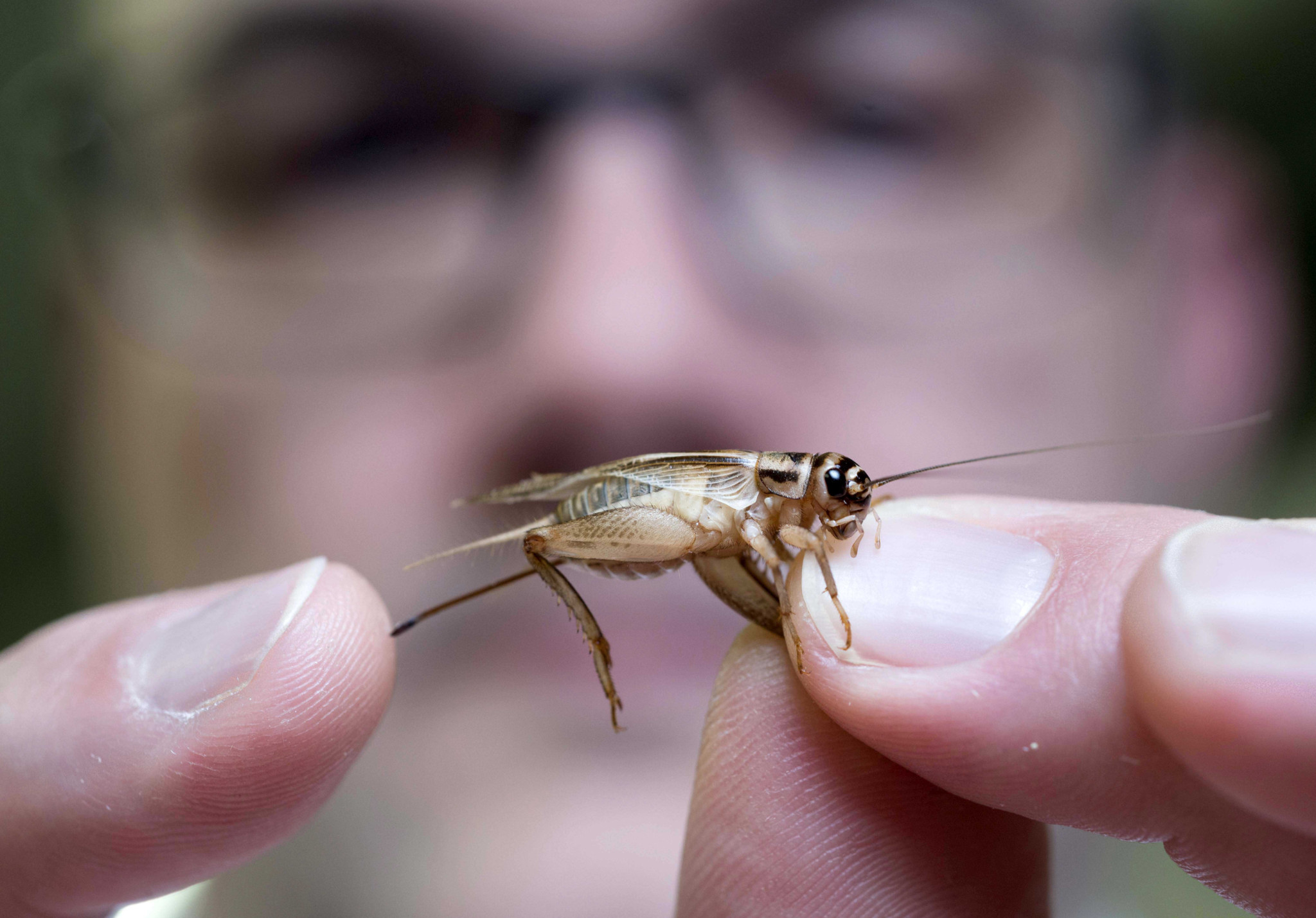 Ukraine – Vitali Klitschko, l’ancien boxeur qui veut mettre Poutine k ...
