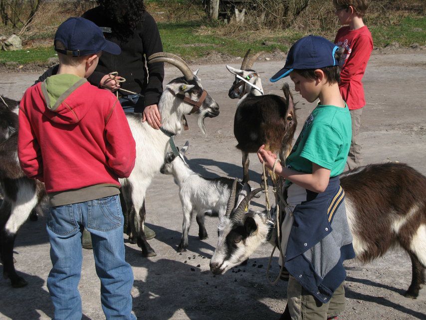 Mit dem Geisslein an der Leine durch den Wald | Der Bund