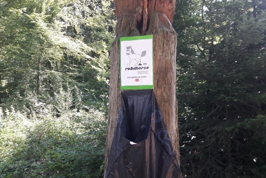 Spassvögel treiben ihr Unwesen im Allschwiler Wald | Basler Zeitung