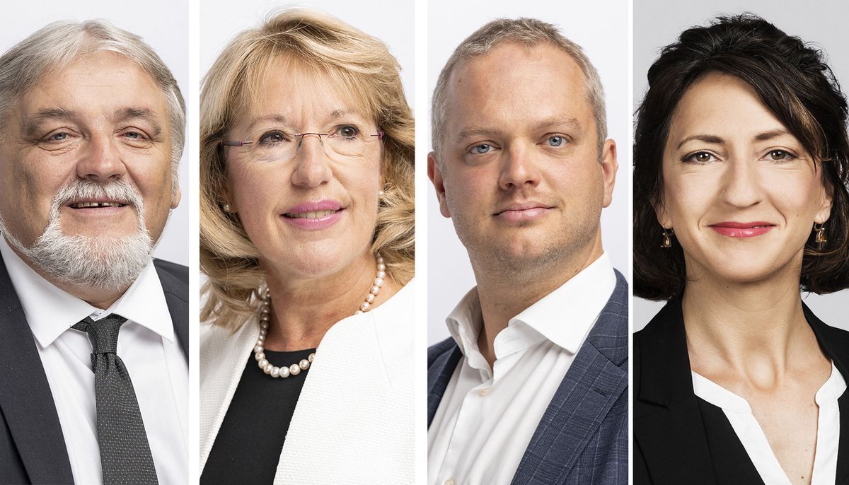 Elections fédérales: Blues, fatigue et septicémie: une sacrée fin de ...