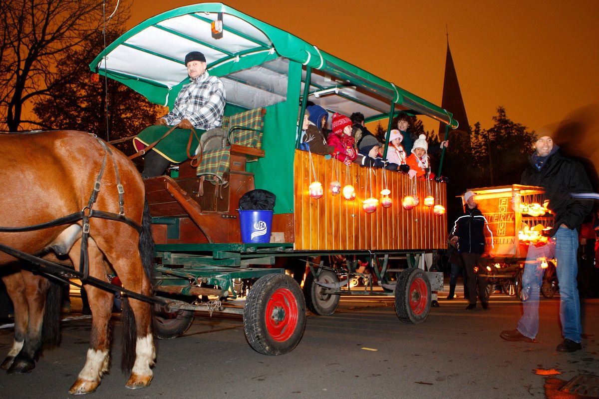 Wallisellen bricht mit Tradition: Räbeliechtliumzug muss auf Kutschen ...