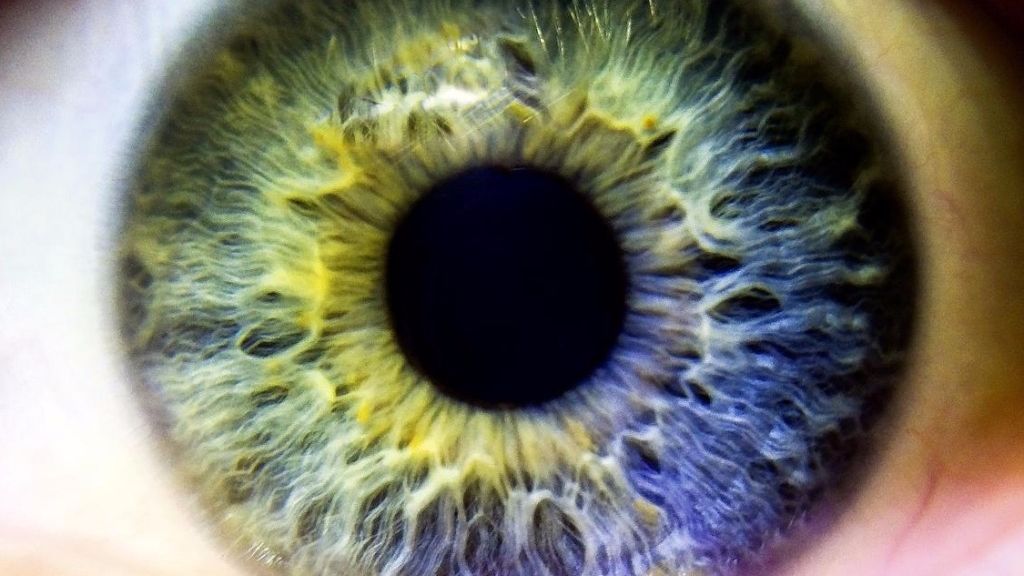Regard: Bleu, noir, brun ou vert, chaque iris est unique au monde - Le ...