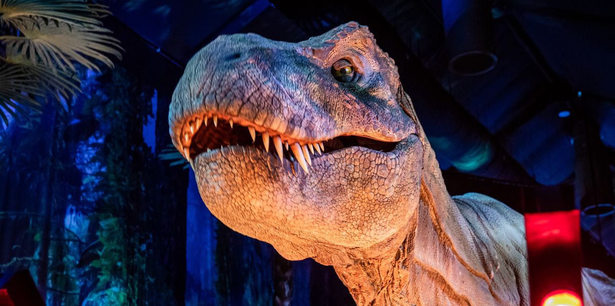 Jurassic World The Exhibition Basel: Dinosaurier live erleben | Berner ...