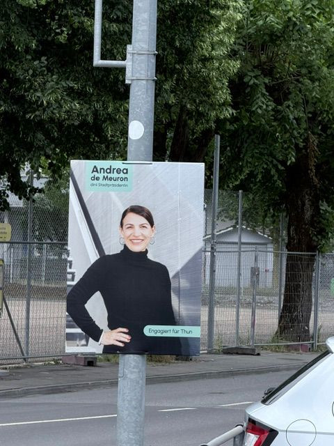 Thun: Illegale Wahlplakate von Andrea De Meuron