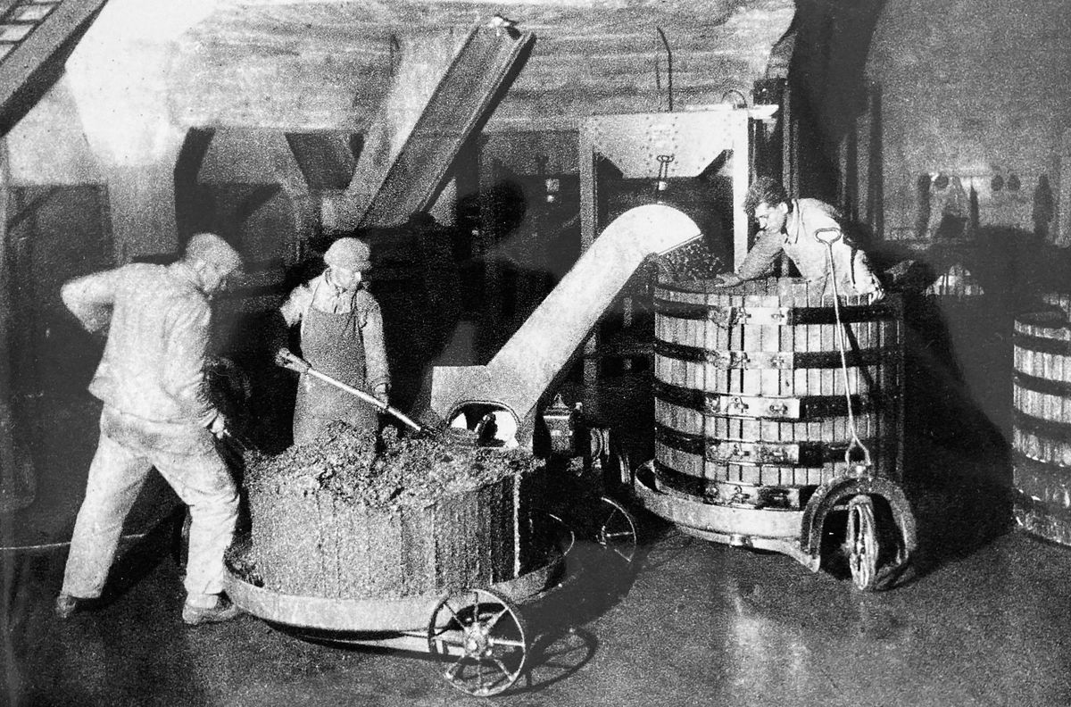Fête et portes ouvertes - En 80 ans, la Cave de Nyon a tout fait pour ...
