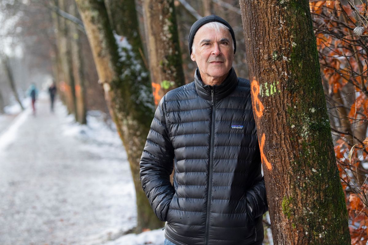 Eichholz Bern: Antonio Righetti kämpft gegen Baumfällaktion | Berner ...