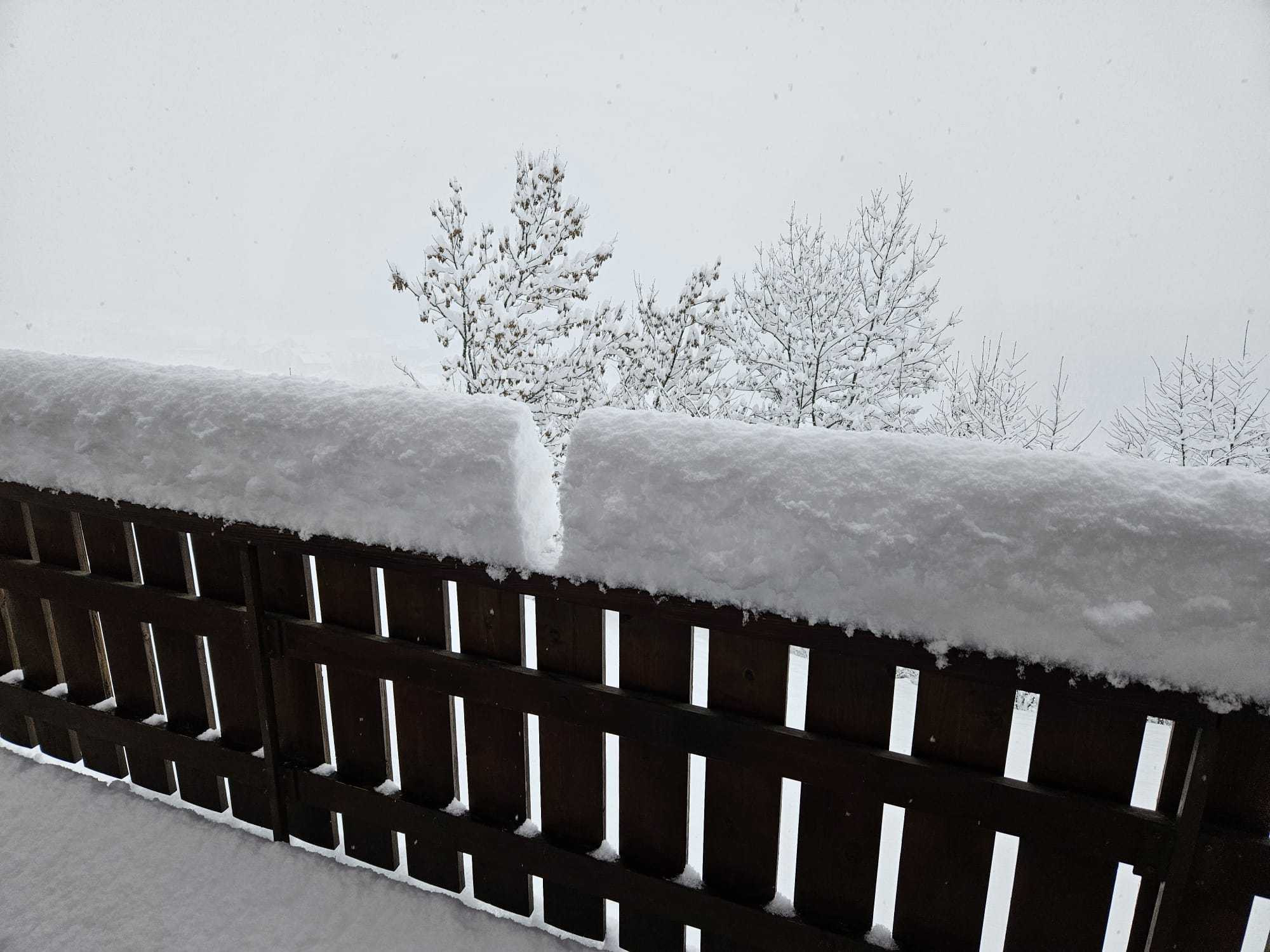 Schne Balkon Sichtschutz Bltter Bilder