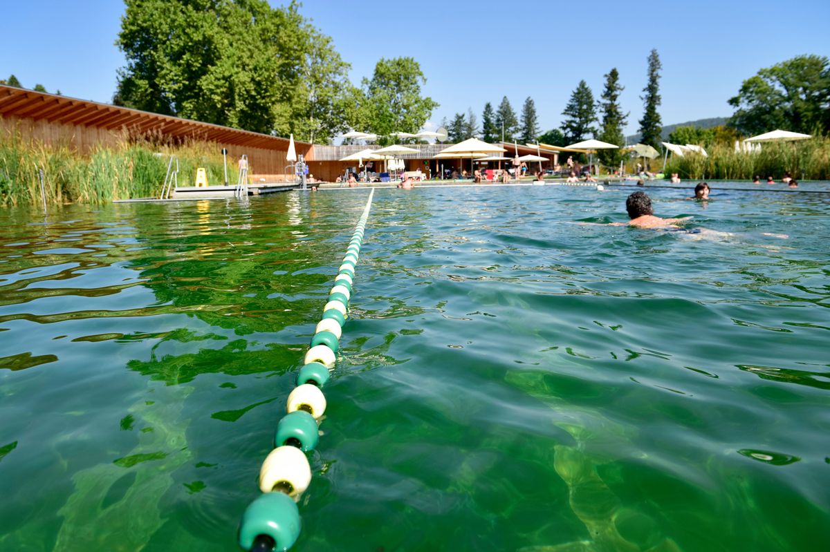 Saisonschluss im Naturbad Riehen: So viele Eintritte wie noch nie ...