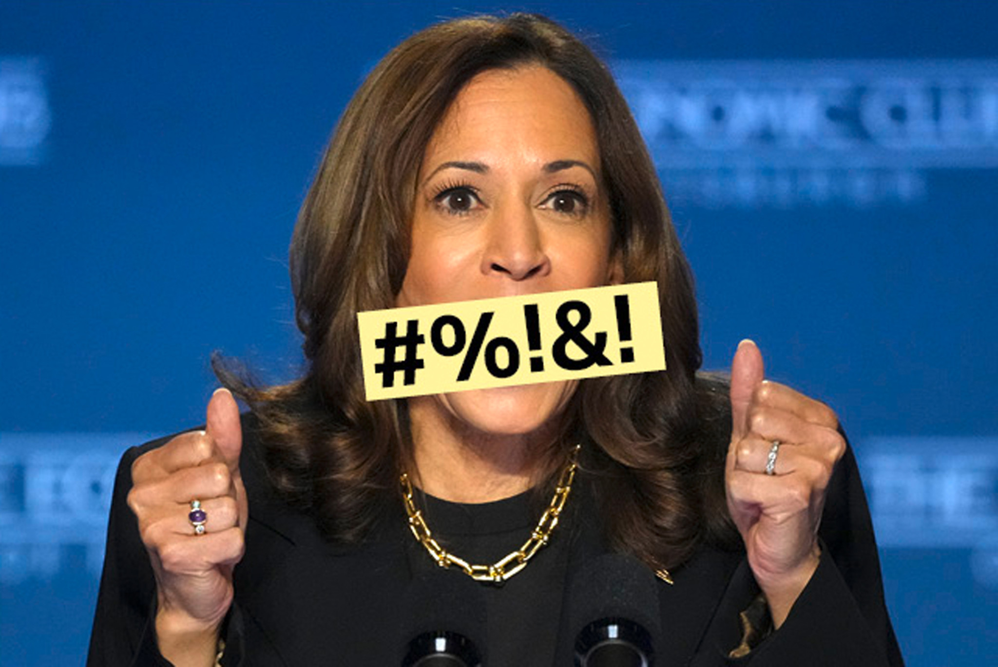 Kamala Harris: Im US-Wahlkampf greift sie zu Kraftausdrücken | Tages-Anzeiger