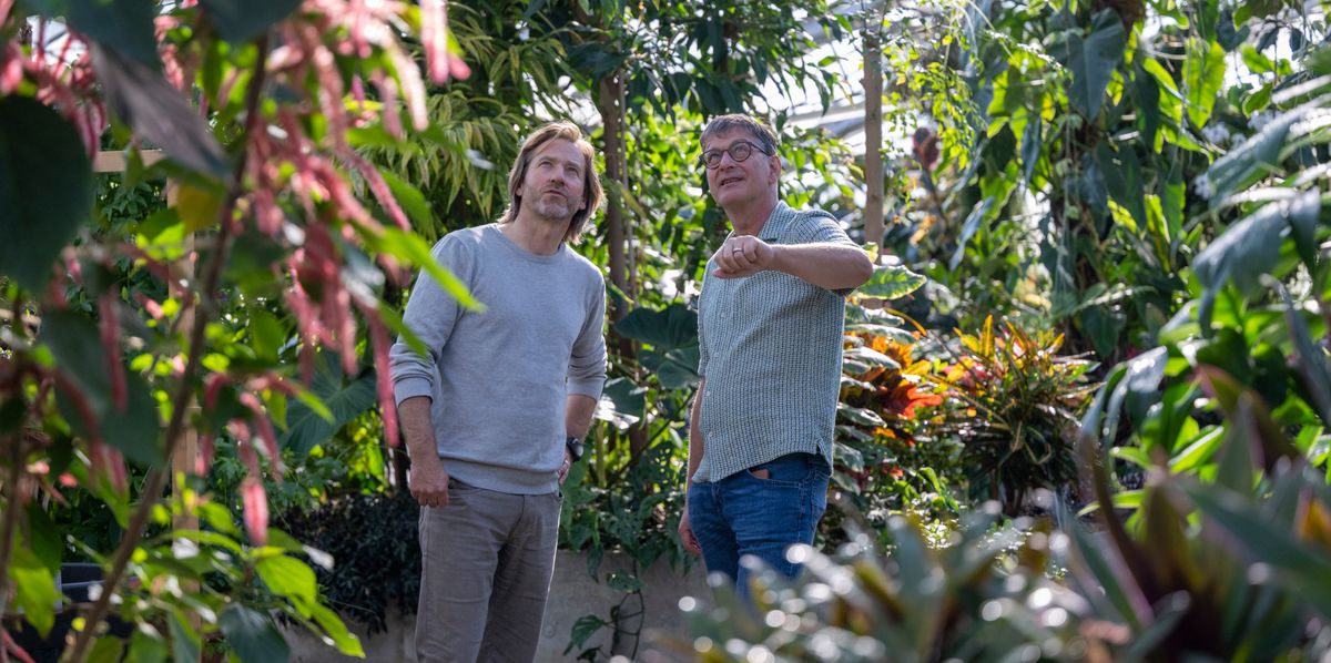 Gartenbauschule Oeschberg: Grundstein für neues Gewächshaus | Berner ...