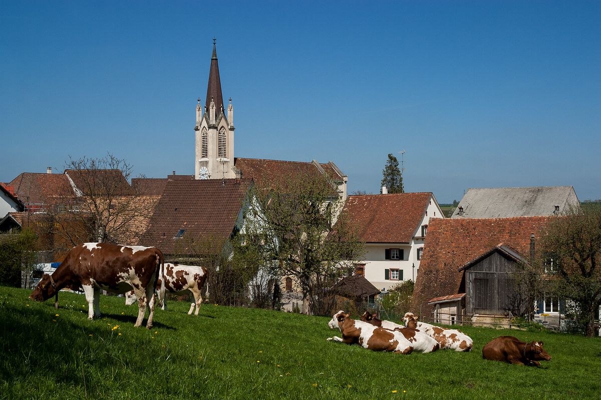 Kilchberg braucht keine Statthalterin mehr: Wo andere scheiterten, war ...