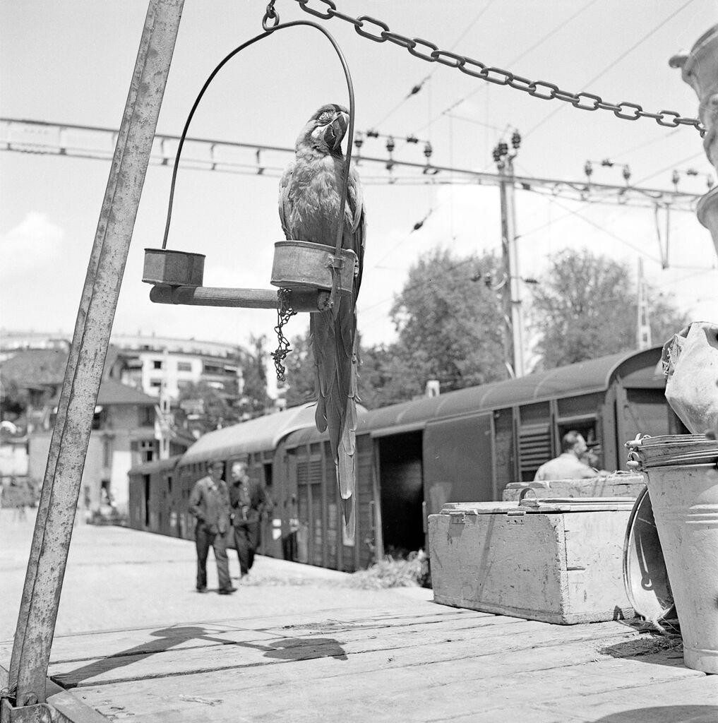 Bahnhof Bern: So sah der Schlafwagen früher aus