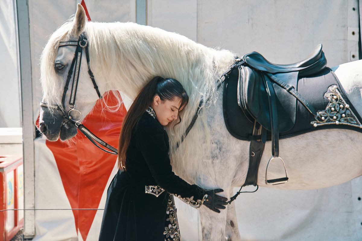 Zwischen Familie und Manege: Hinter den Kulissen beim Circus Knie ...